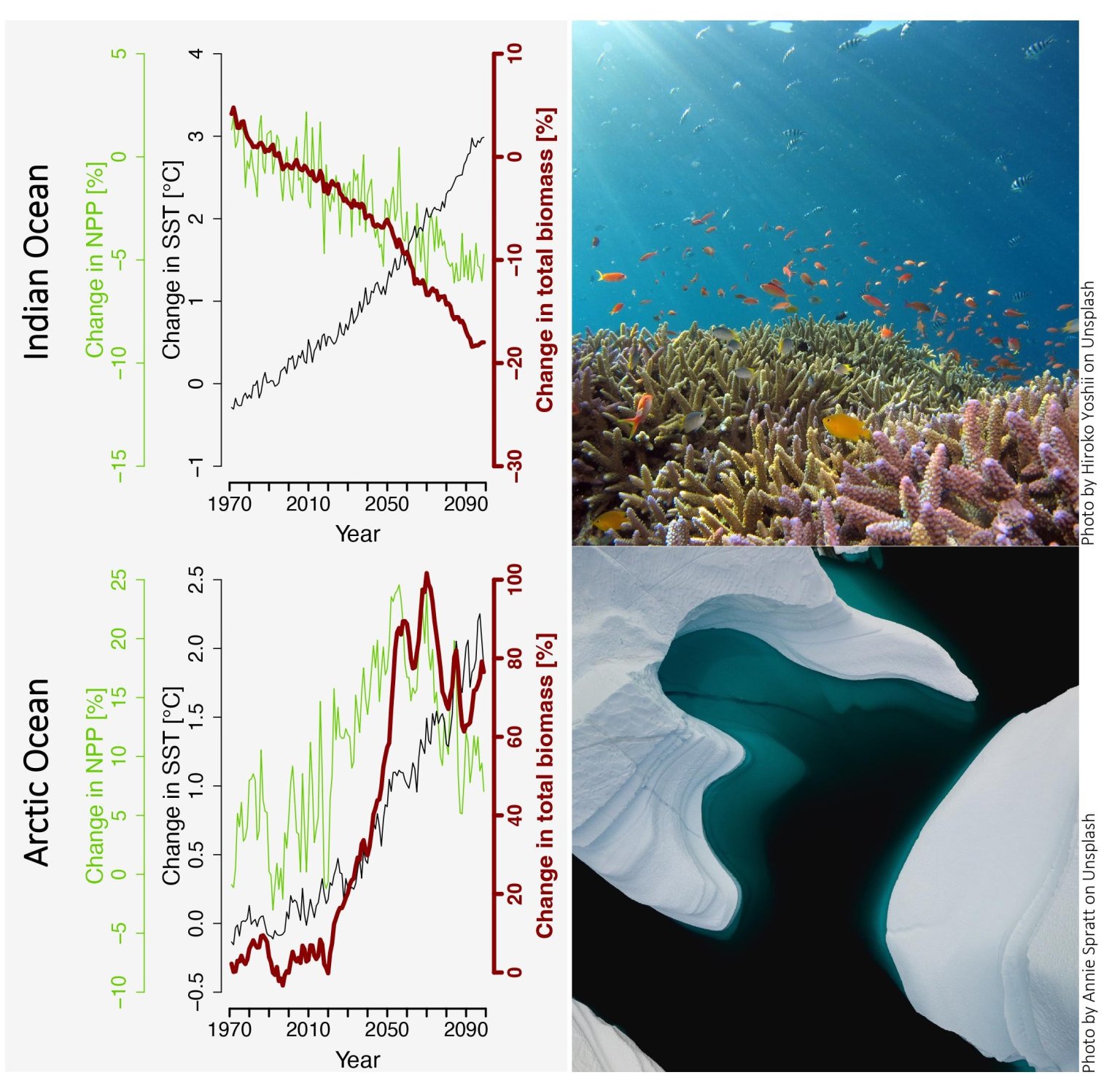 Future ocean changes: What can ecosystem models tell us? - CMOS ...