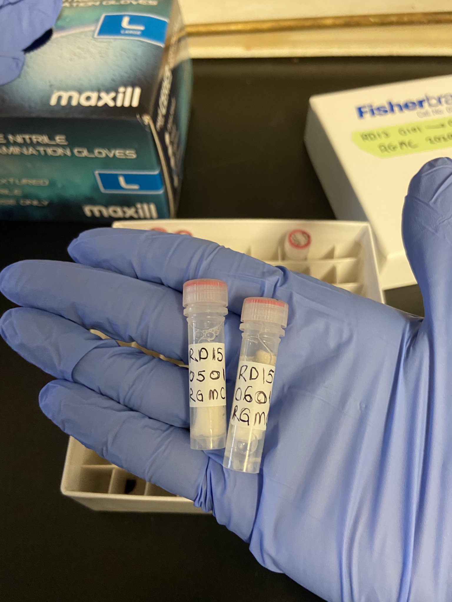 What’s in a water sample? Harnessing the power of eDNA analysis for ...